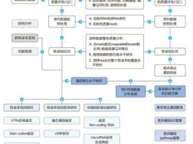 Log2FC | Public Library of Bioinformatics