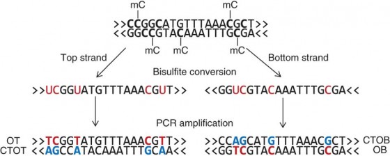 samtools常用命令详解 | Public Library of Bioinformatics