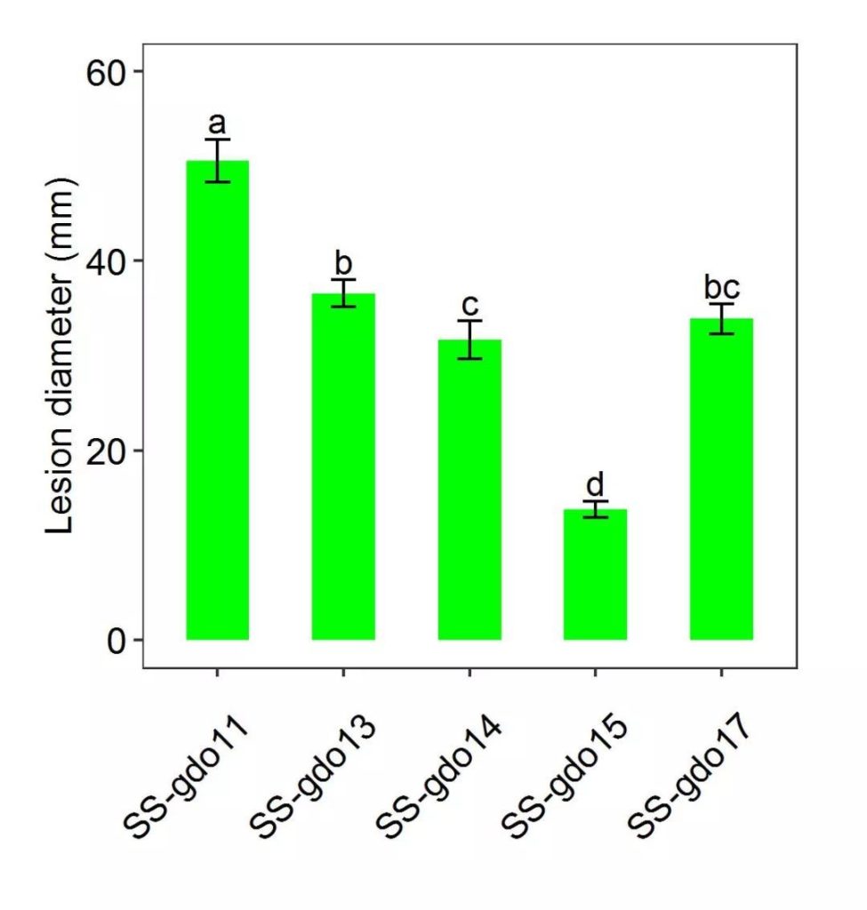 R语言标记显著性标记 | Public Library of Bioinformatics