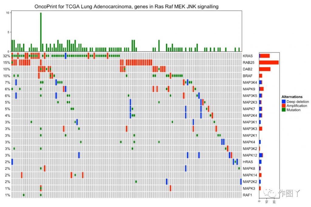 ComplexHeatmap绘制全基因组突变景观图 | Public Library of Bioinformatics