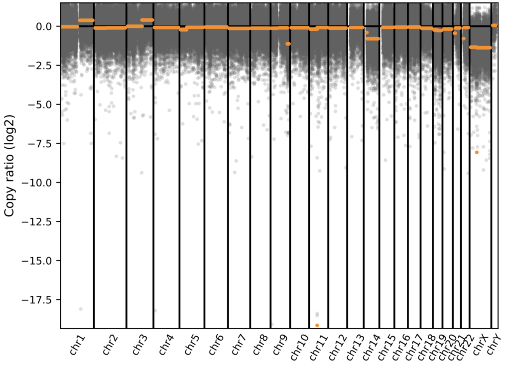 使用cnvkit来对大批量wes样本找cnv | Public Library of Bioinformatics