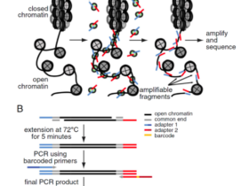 Bioinformatics | Public Library of Bioinformatics