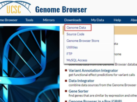 Alignment-based的转录本定量-RSEM | Public Library of Bioinformatics