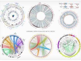 Circos | Public Library of Bioinformatics