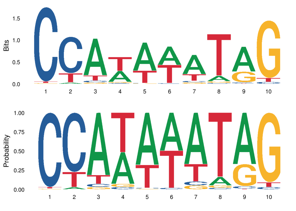 利用ggseqlogo绘制seqlogo图 | Public Library of Bioinformatics