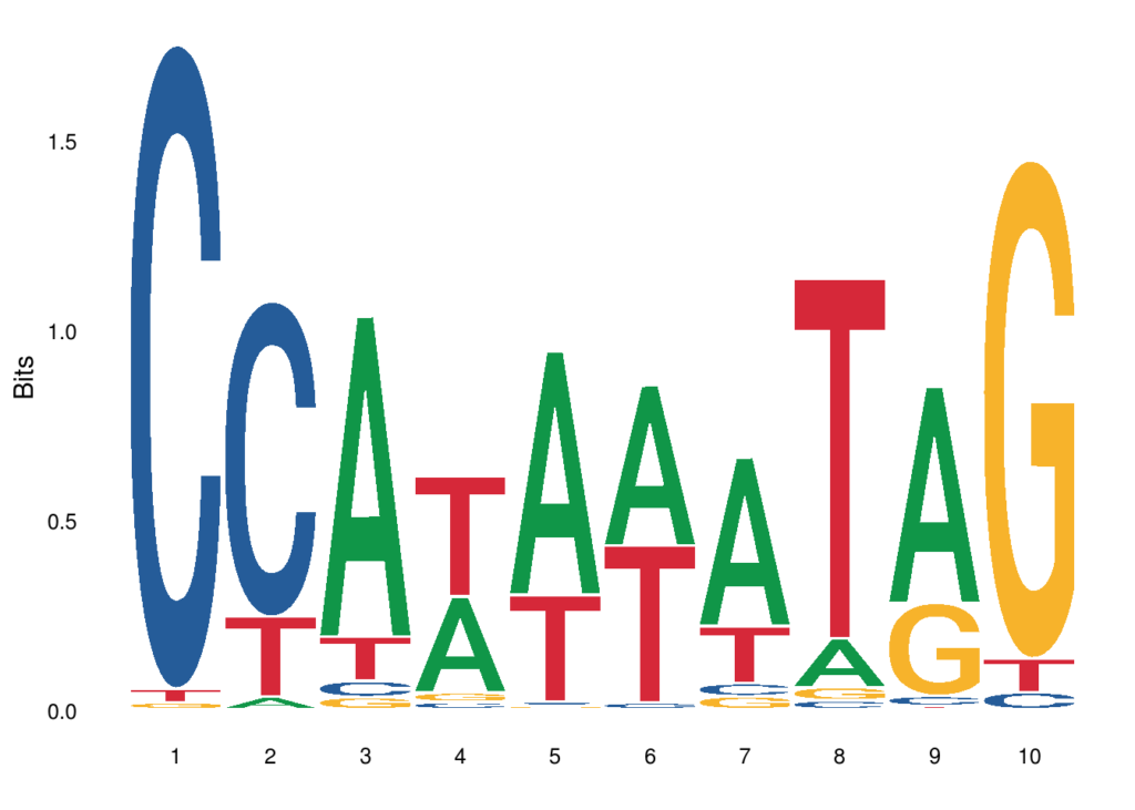 利用ggseqlogo绘制seqlogo图 | Public Library of Bioinformatics