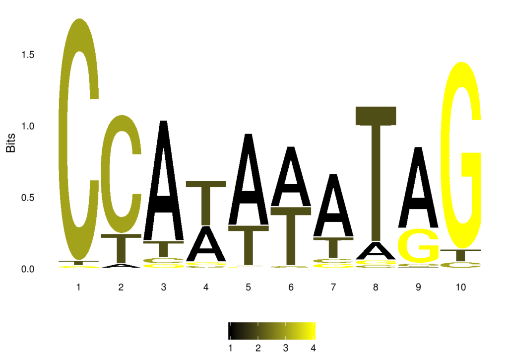 利用ggseqlogo绘制seqlogo图 | Public Library of Bioinformatics