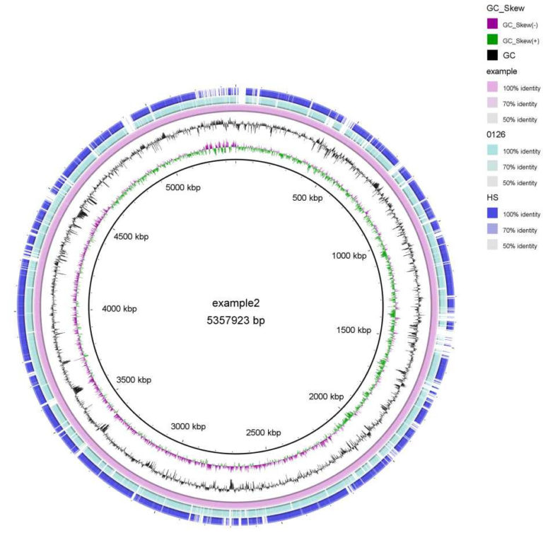 BRIG-原核生物比较基因组圈图展示神器 | Public Library of Bioinformatics