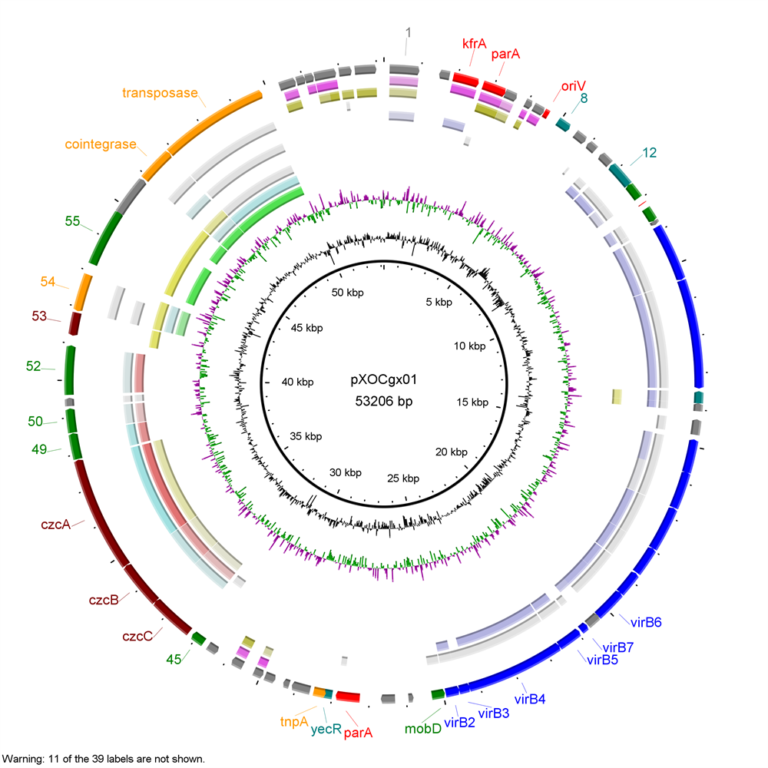 BRIG-原核生物比较基因组圈图展示神器 | Public Library of Bioinformatics