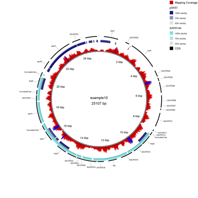 BRIG-原核生物比较基因组圈图展示神器 | Public Library of Bioinformatics