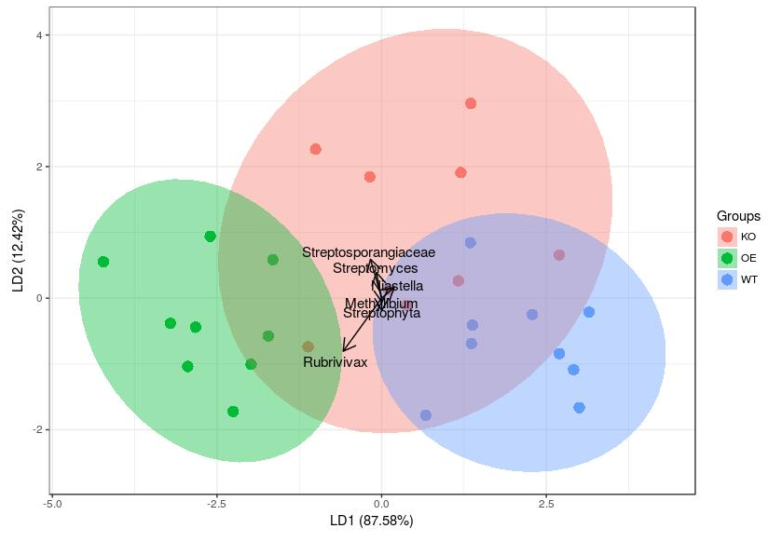 LDA分析、作图及添加置信-ggord | Public Library of Bioinformatics