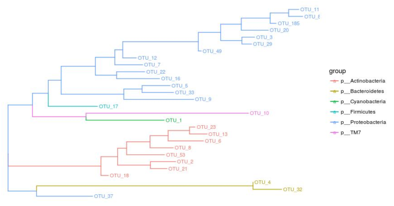 ggtree美化进化树 | Public Library of Bioinformatics