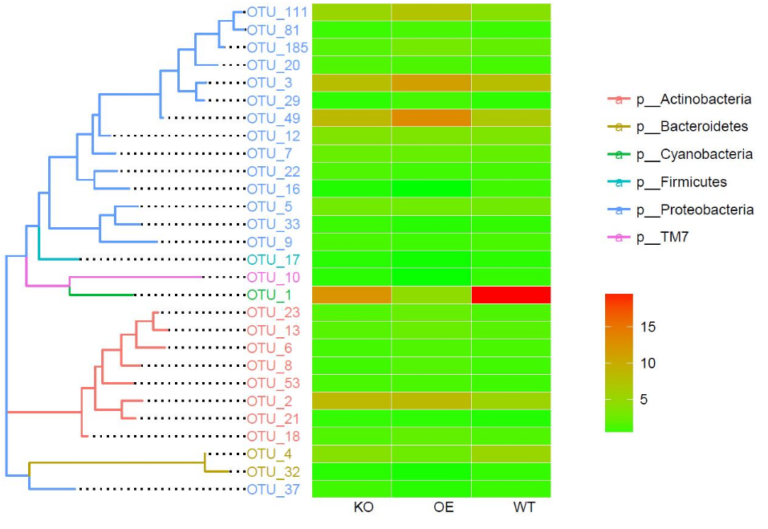 ggtree美化进化树 | Public Library of Bioinformatics