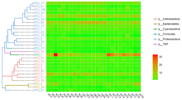 ggtree美化进化树 | Public Library of Bioinformatics