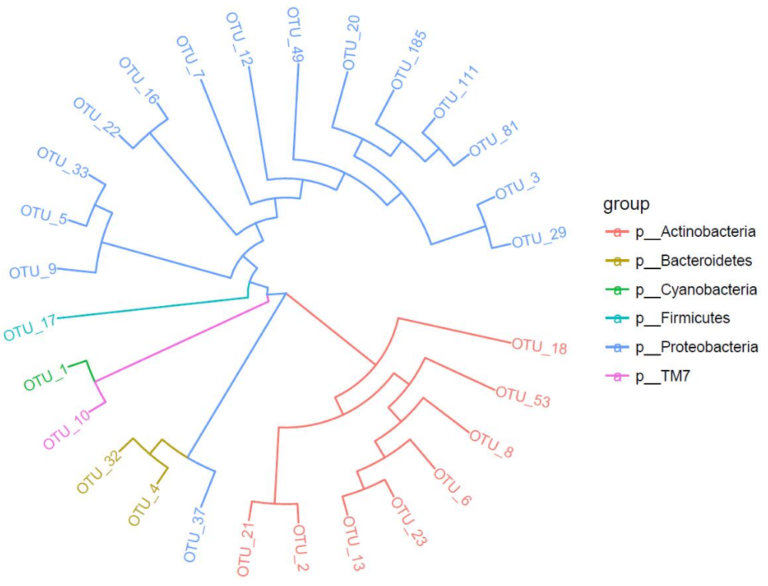 ggtree美化进化树 | Public Library of Bioinformatics