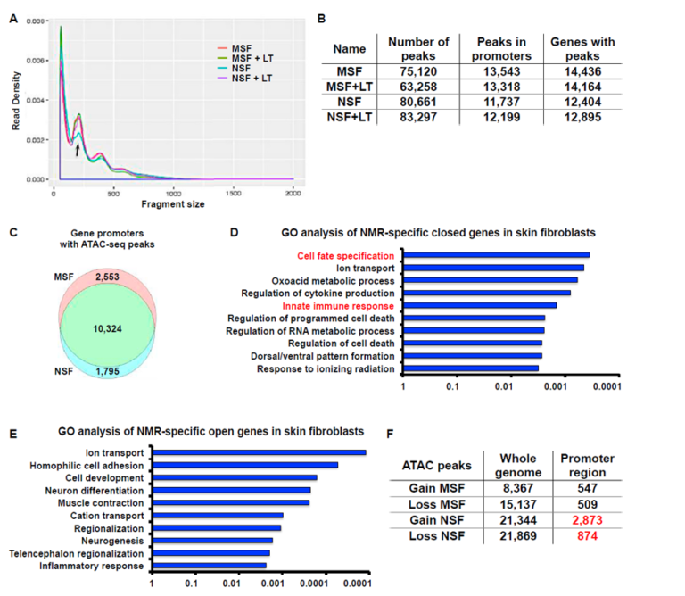 一文了解ATAC-seq | Public Library of Bioinformatics