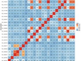 MUMmer使用介绍 | Public Library of Bioinformatics