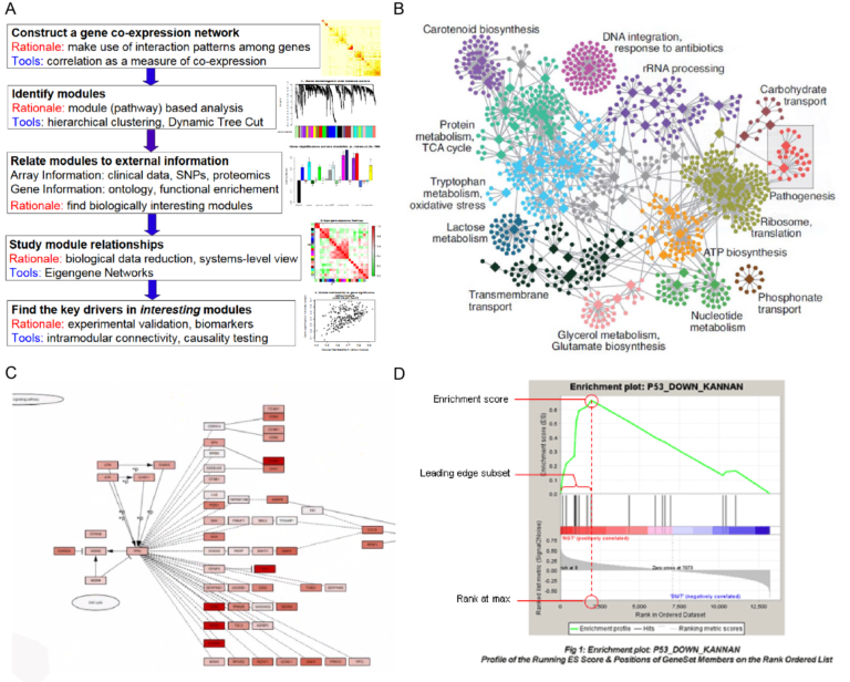 WGCNA分析使用教程 | Public Library of Bioinformatics