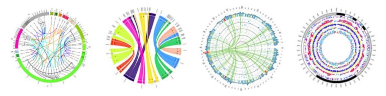 RIdeogram：画染色体图 | Public Library of Bioinformatics
