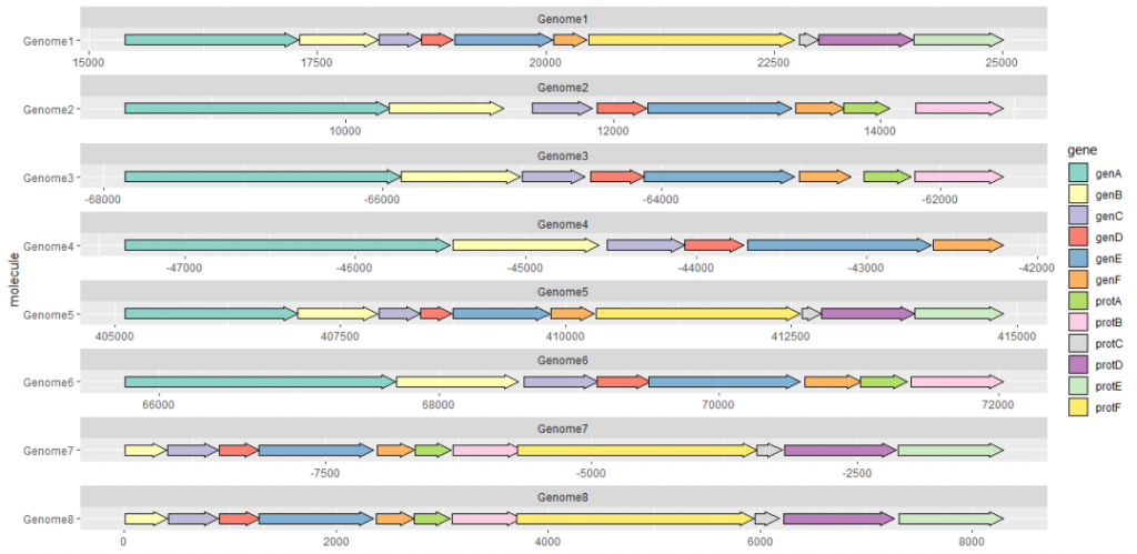 gggenes绘制多物种基因结构比较 | Public Library of Bioinformatics
