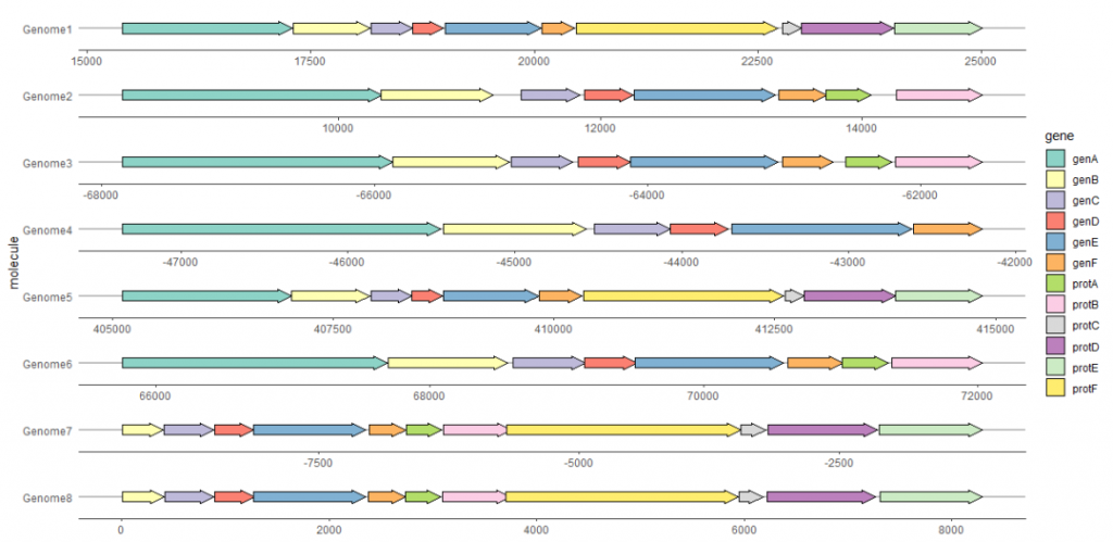 gggenes绘制多物种基因结构比较 | Public Library of Bioinformatics