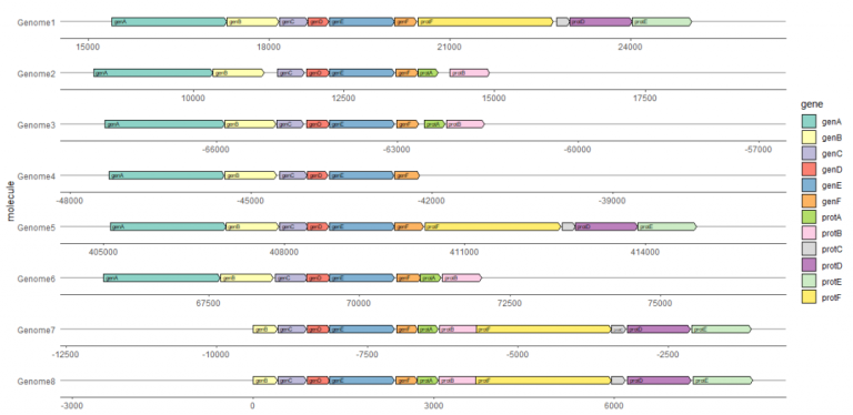 gggenes绘制多物种基因结构比较 | Public Library of Bioinformatics
