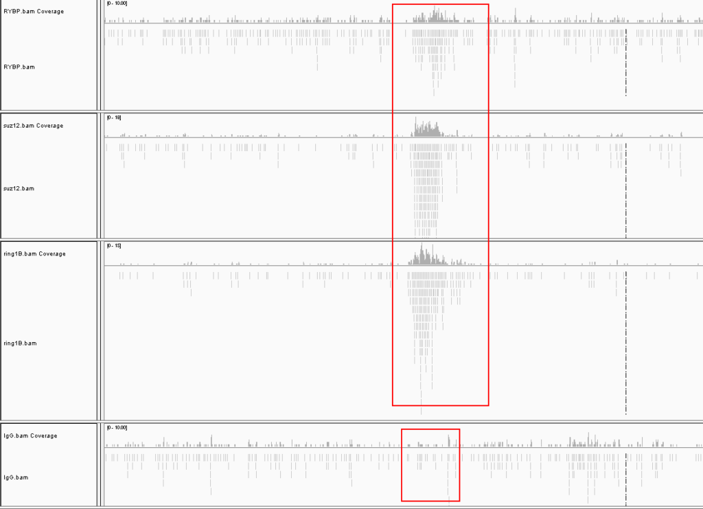 ChIP-seq基础入门 | Public Library of Bioinformatics