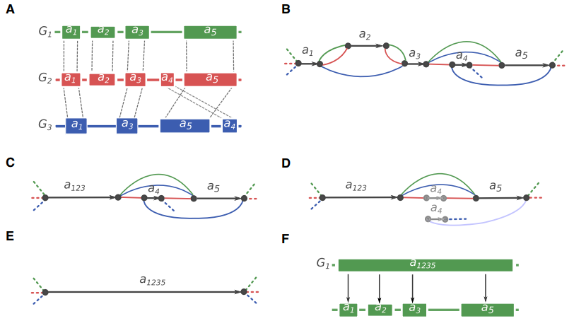 利用参考基因组进行scaffolding提高组装连续性的工具整理 | Public Library of Bioinformatics