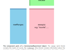 从spike-in到DESeq2：文库normalization | Public Library of Bioinformatics