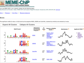 MEME(Motif-based sequence analysis tools)使用说明 | Public Library of ...
