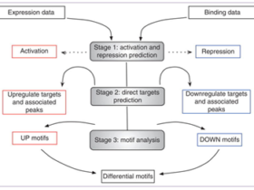 ATAC-Seq分析教程：差异peaks分析——DiffBind | Public Library of Bioinformatics