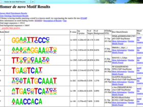 MEME(Motif-based sequence analysis tools)使用说明 | Public Library of ...