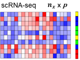 scRNA-seq单细胞转录组数据分析流程 | Public Library of Bioinformatics