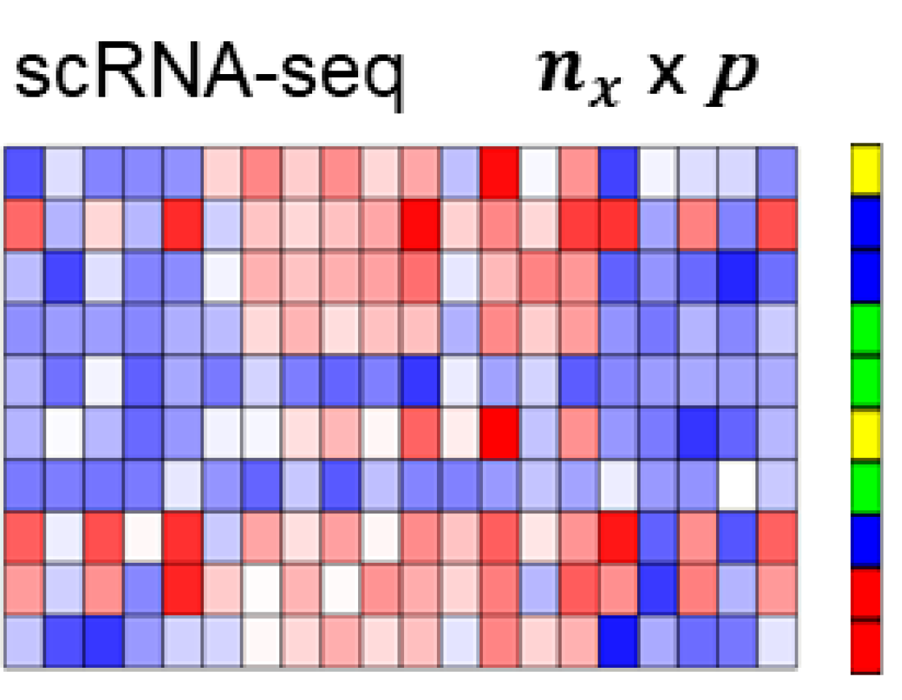 Cell Ranger 输出文件介绍 | Public Library of Bioinformatics
